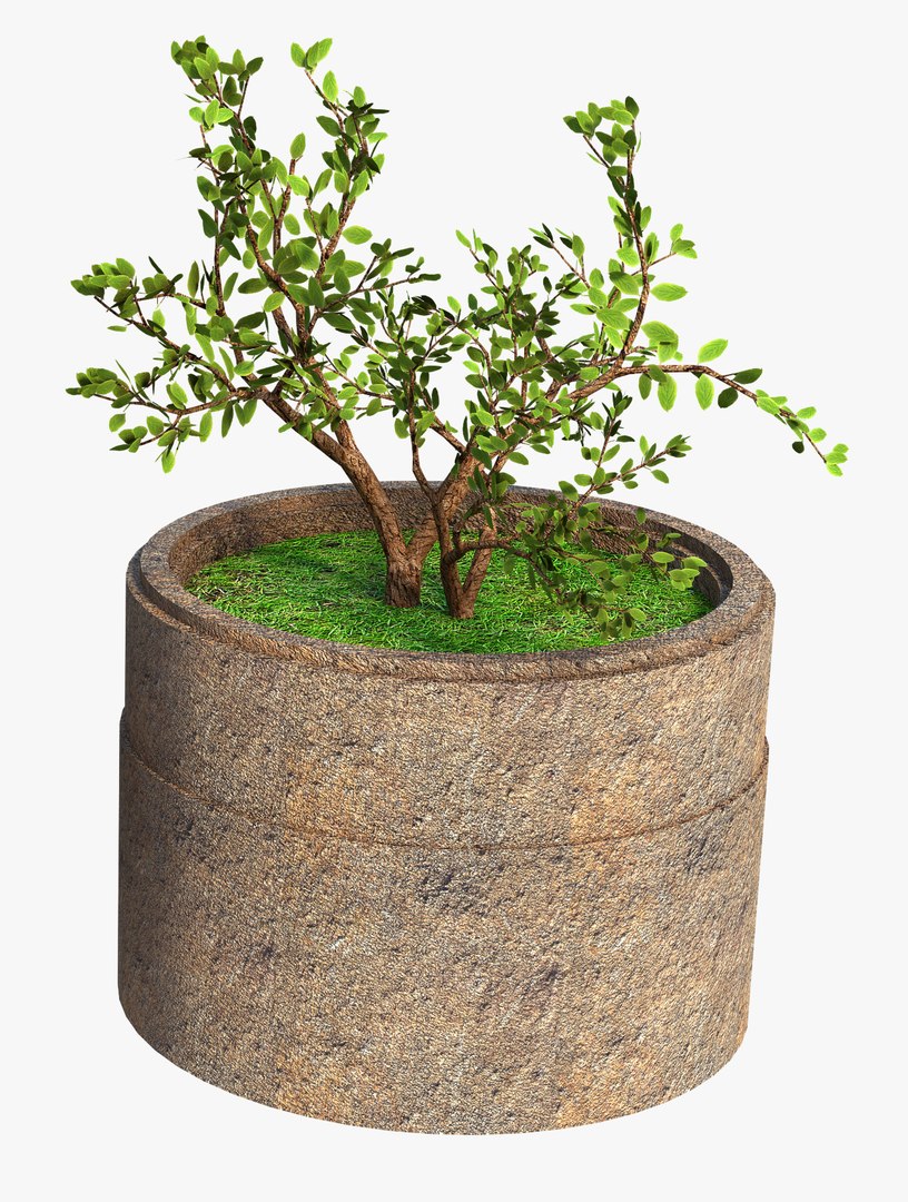 Free Plant Pot 3D Model - TurboSquid 1397020