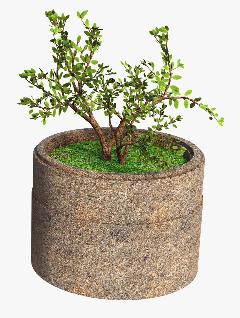 Free plant pot 3D model - TurboSquid 1397020