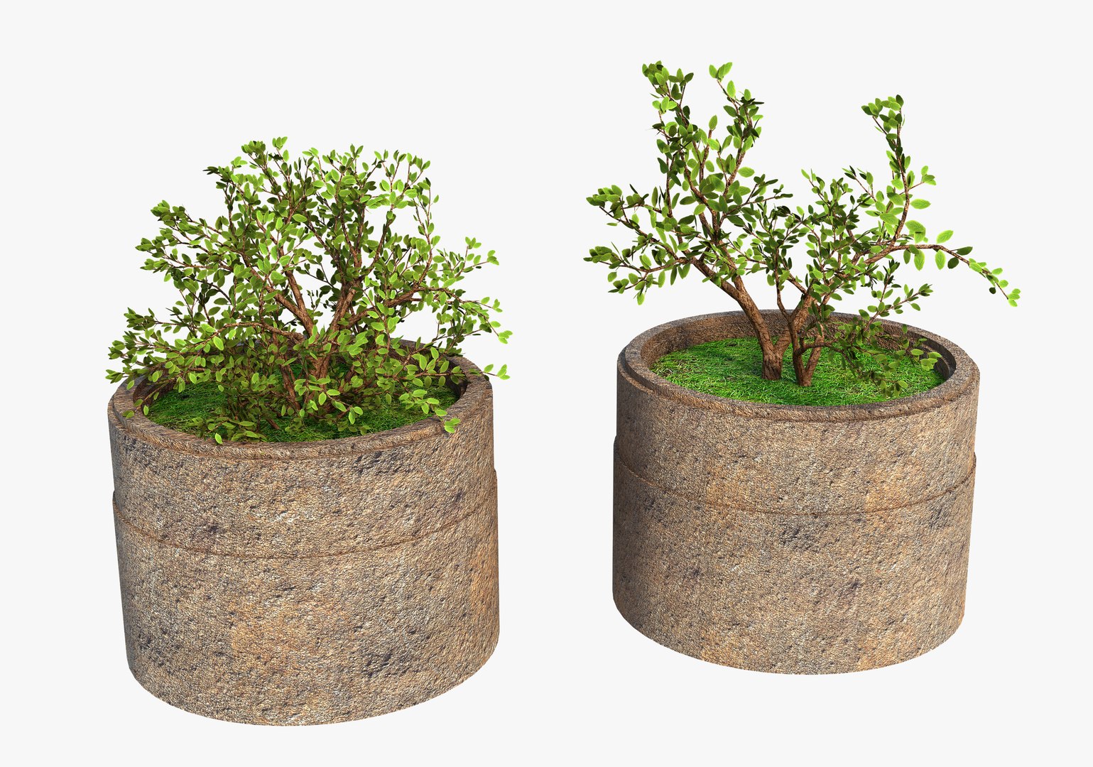 Free Plant Pot 3D Model - TurboSquid 1397020