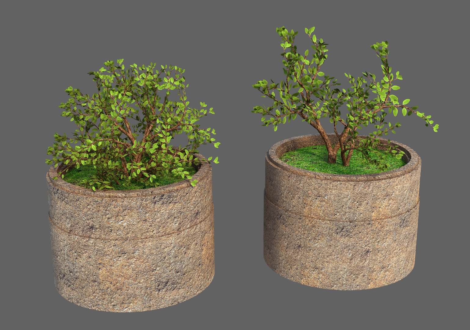 Free Plant Pot 3D Model - TurboSquid 1397020
