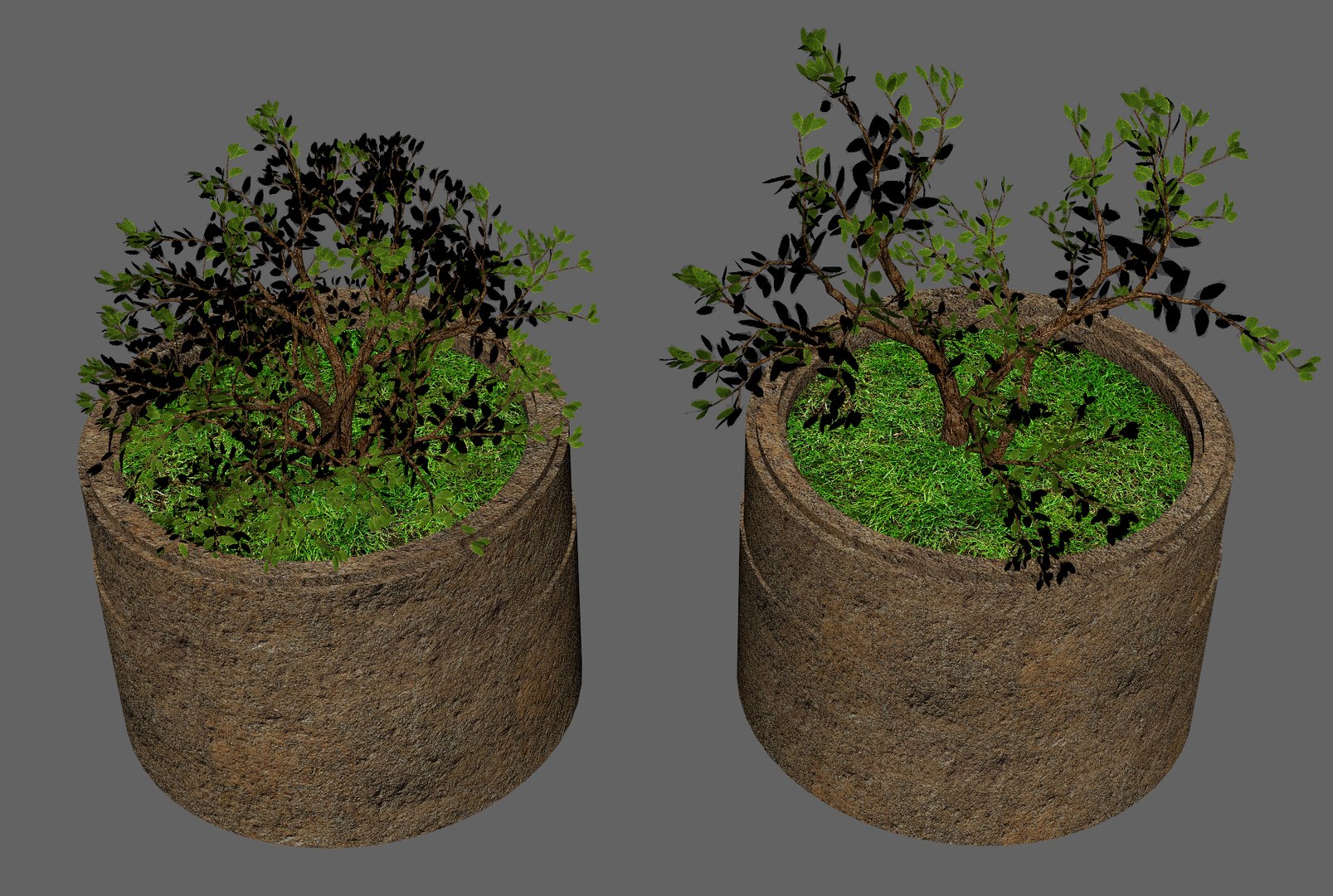 Free Plant Pot 3D Model - TurboSquid 1397020