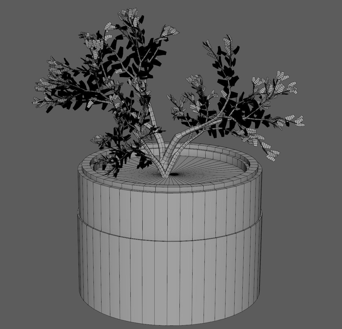 Free Plant Pot 3D Model - TurboSquid 1397020
