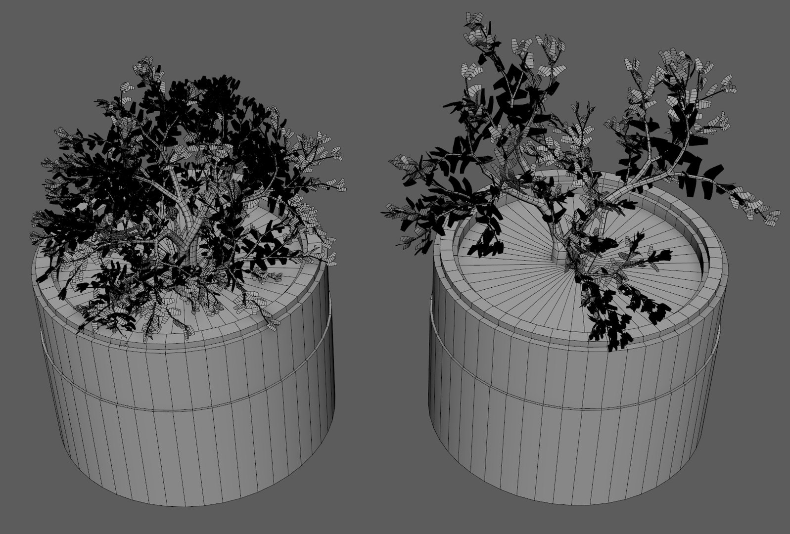 Free Plant Pot 3D Model - TurboSquid 1397020