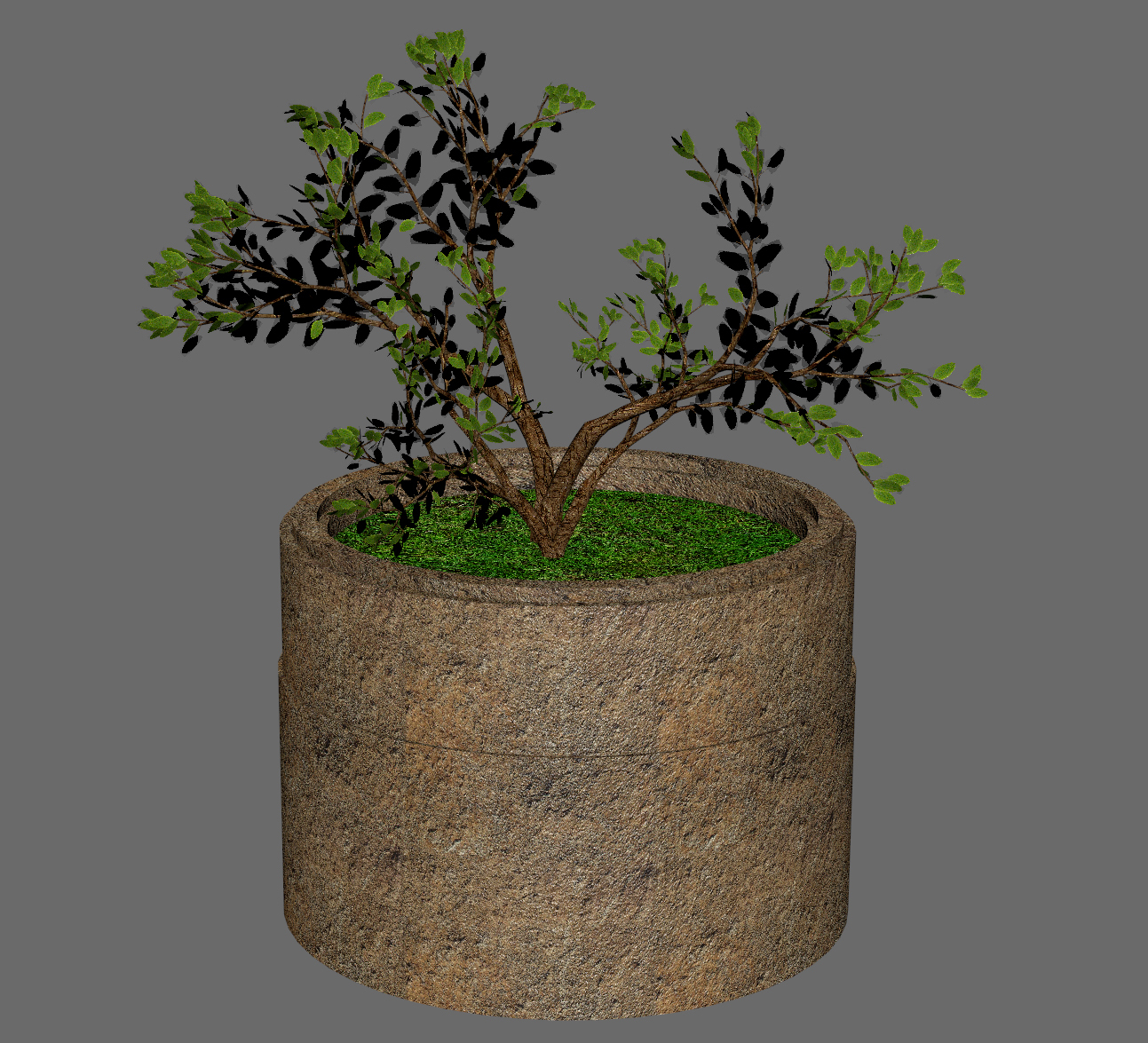 Free plant pot 3D model - TurboSquid 1397020