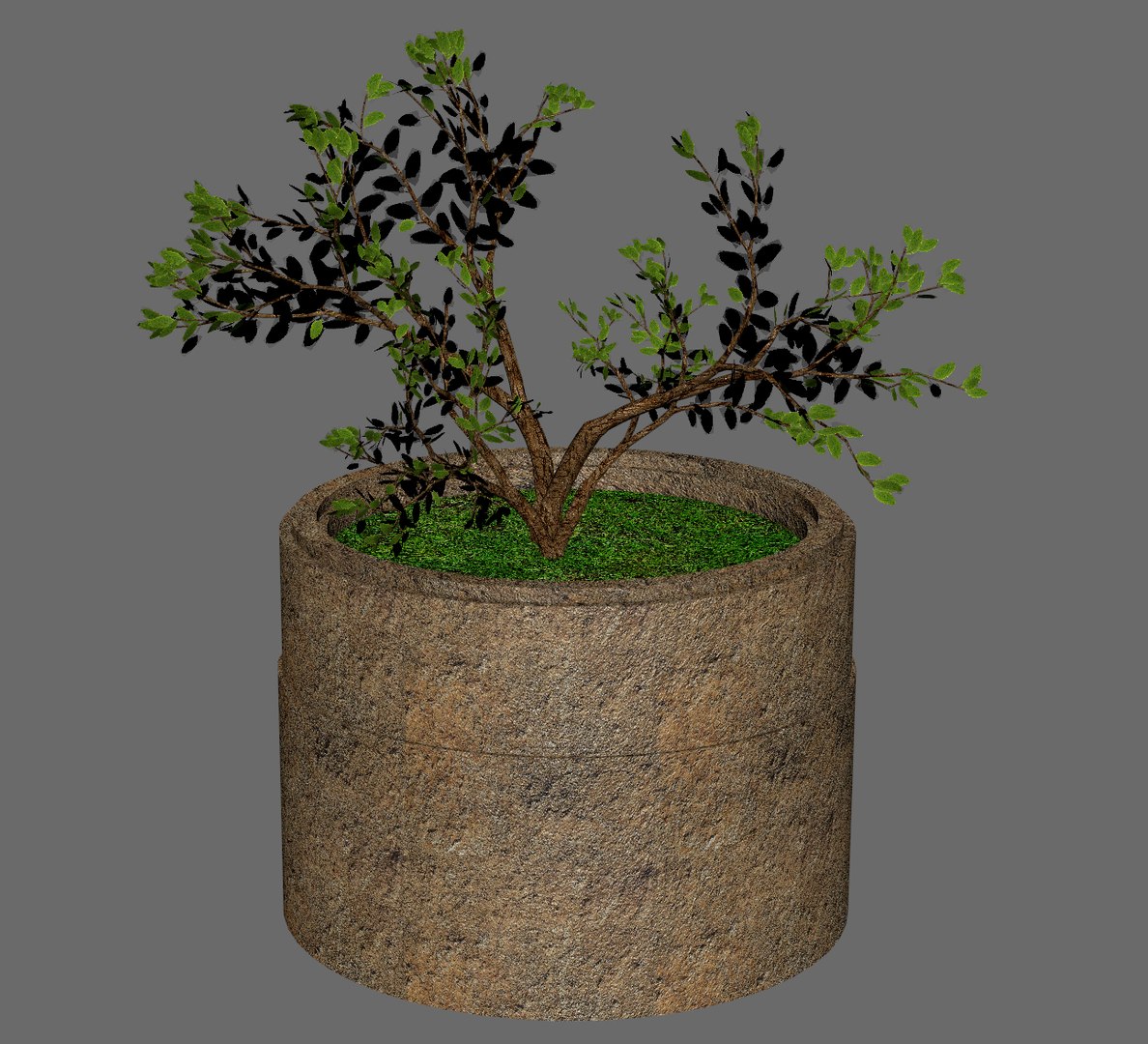 Free Plant Pot 3D Model - TurboSquid 1397020