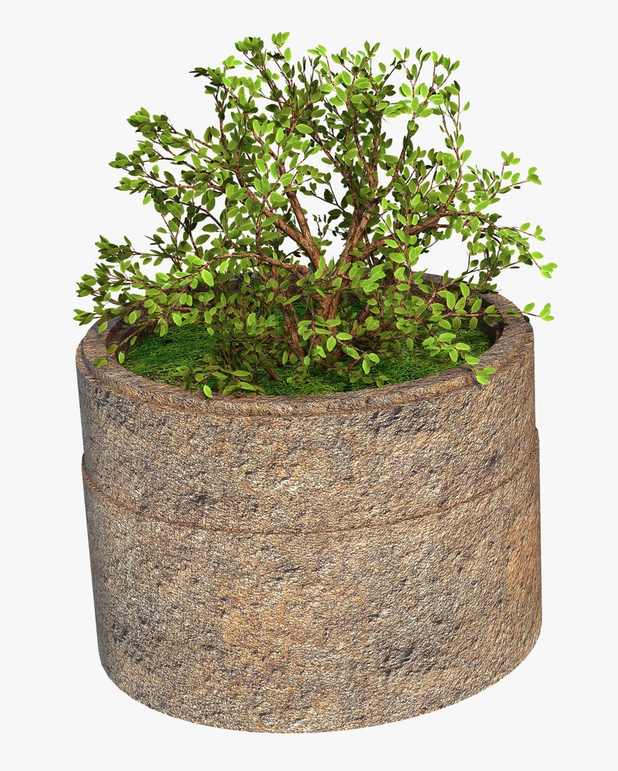 Free Plant Pot 3D Model - TurboSquid 1397020