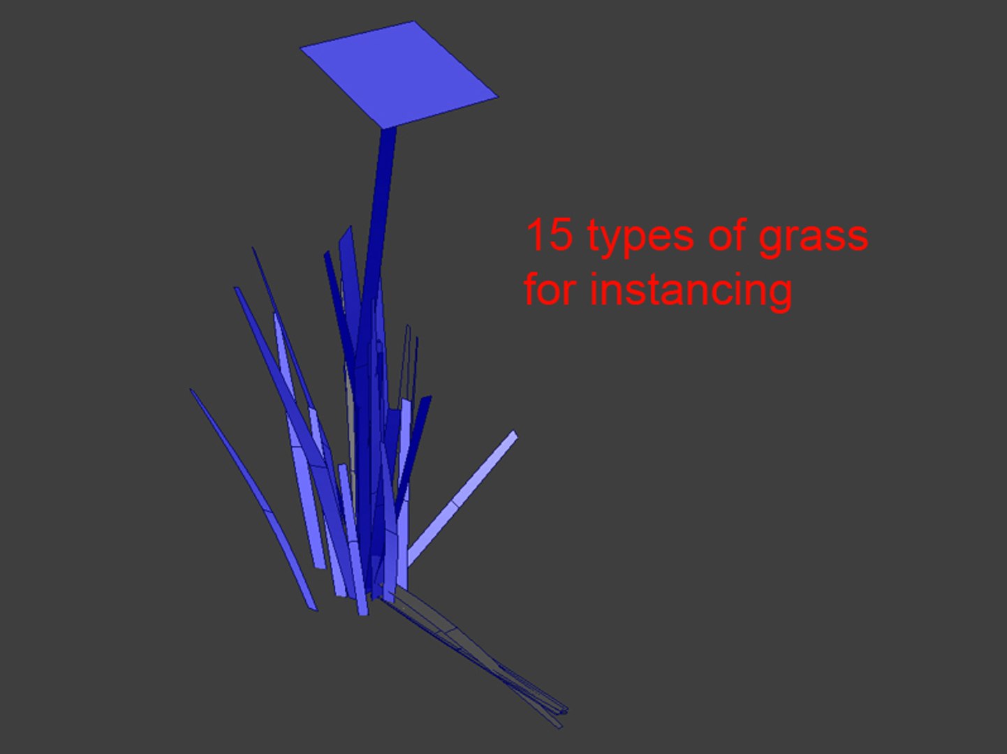 Maya Grass Margerita