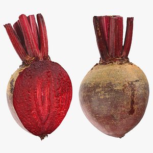 Low Poly Beet 3D Models For Download | TurboSquid