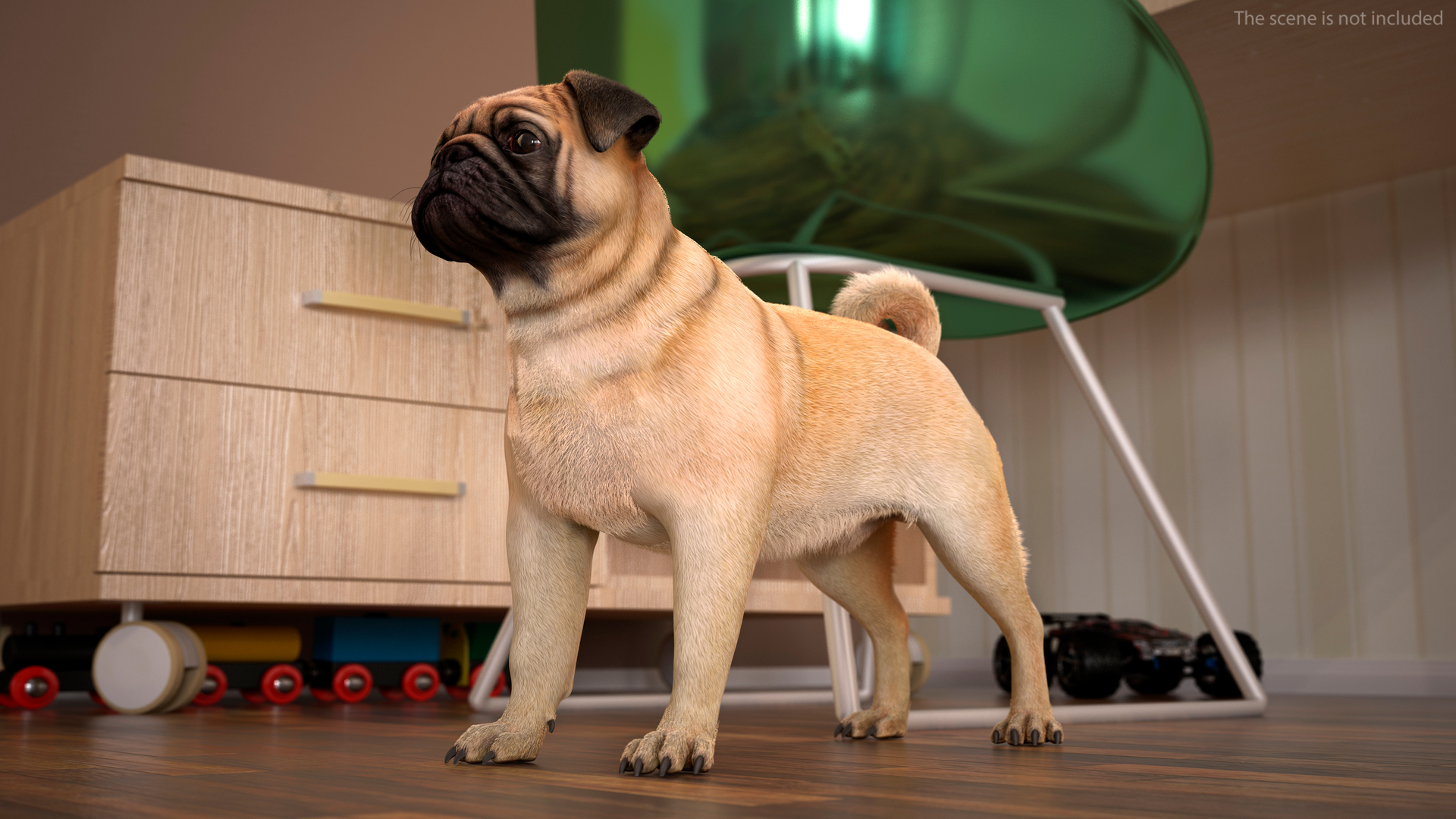 Pug dog neutral pose 3D model - TurboSquid 1681962