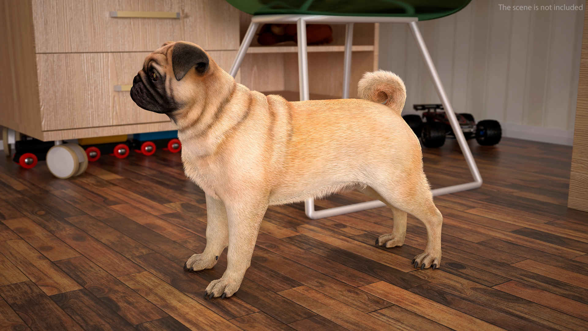 Pug dog neutral pose 3D model - TurboSquid 1681962