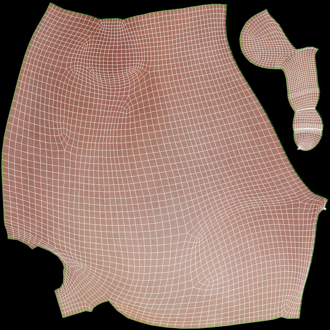 3D Model Medically Accurate Male Organs - TurboSquid 2042227