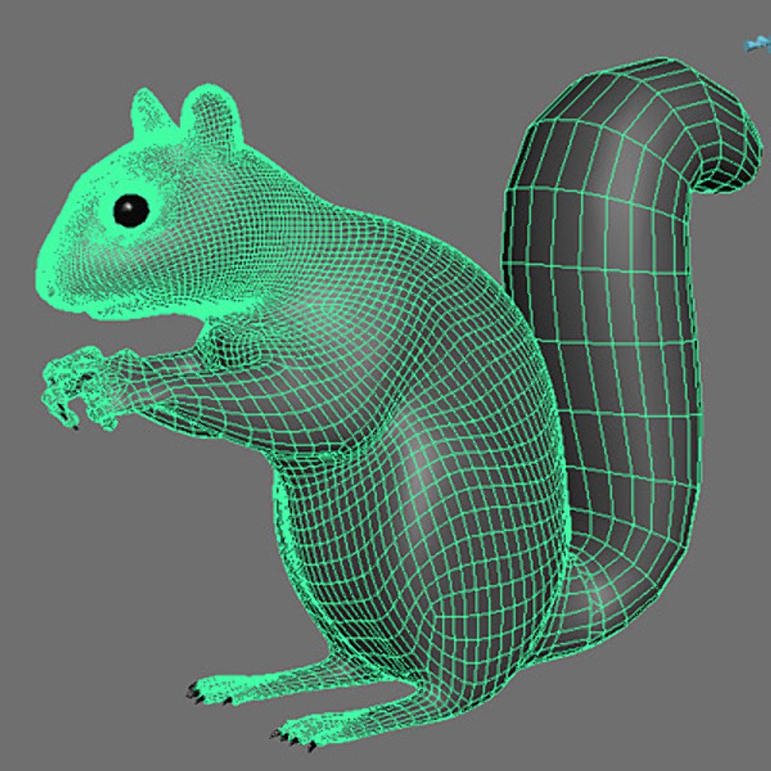 Gray Squirrel 3d Ma