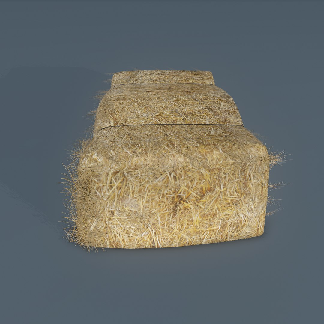 3D Model Hay Bale - TurboSquid 1408559