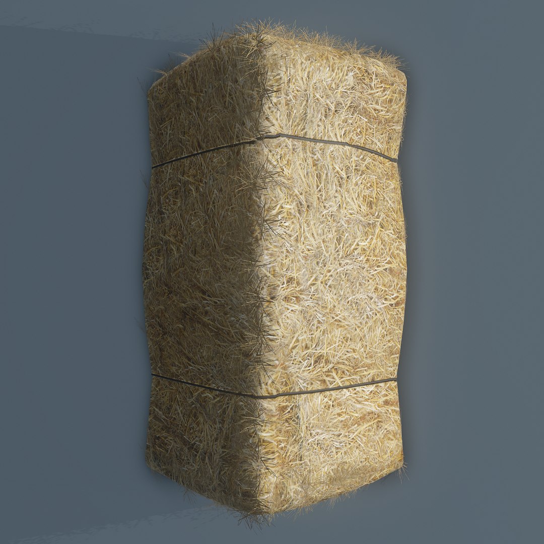 3D Model Hay Bale - TurboSquid 1408559