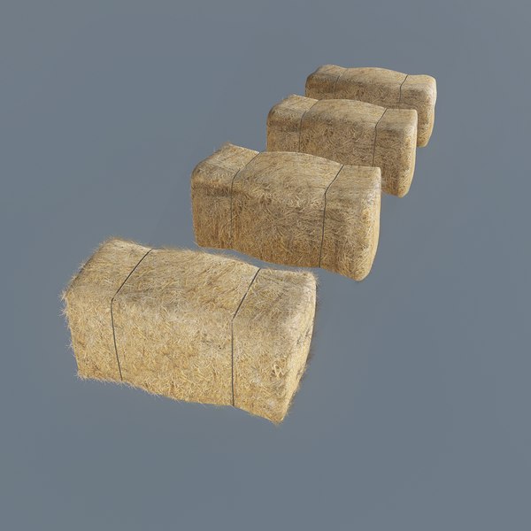 3D model hay bale - TurboSquid 1408559