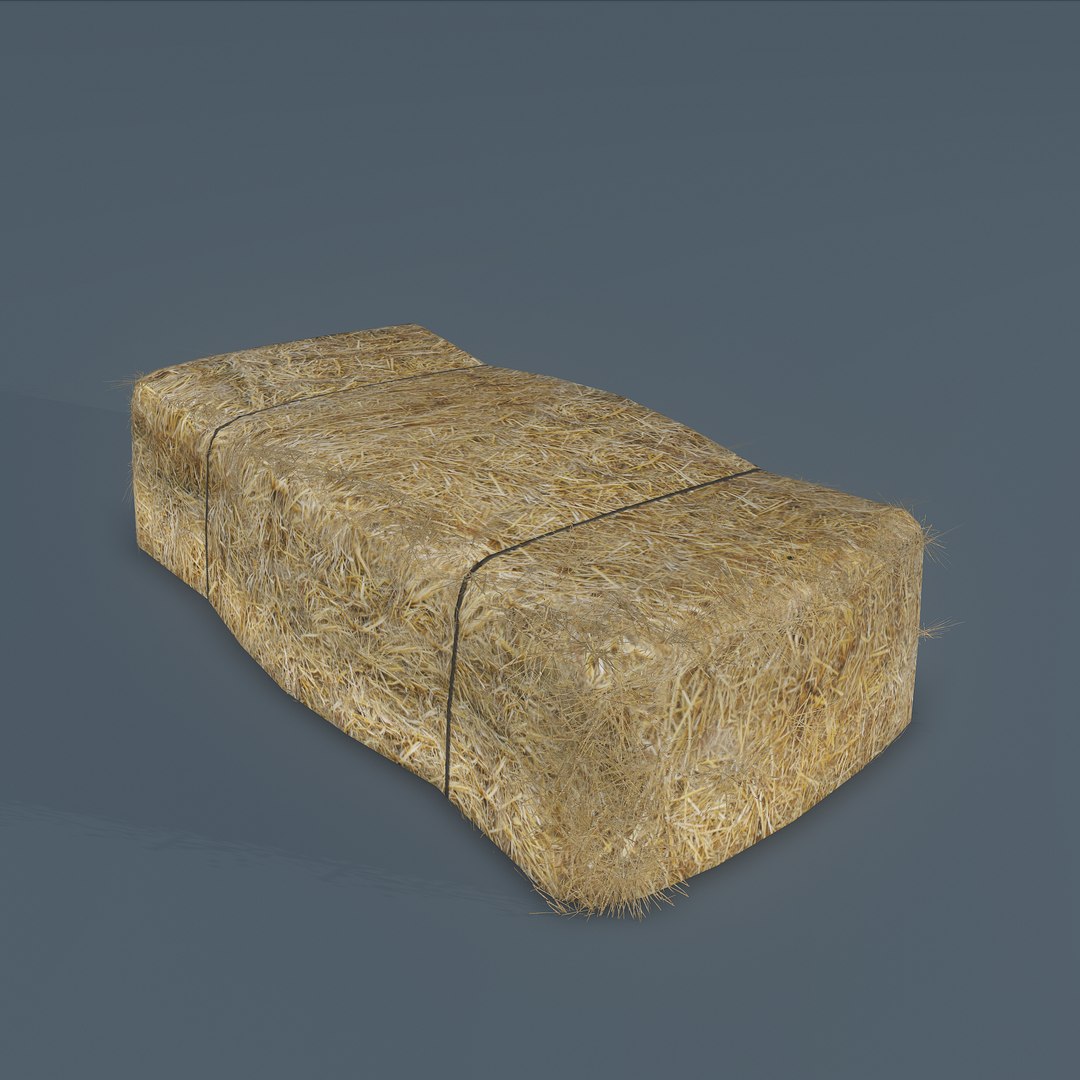 3D Model Hay Bale - TurboSquid 1408559