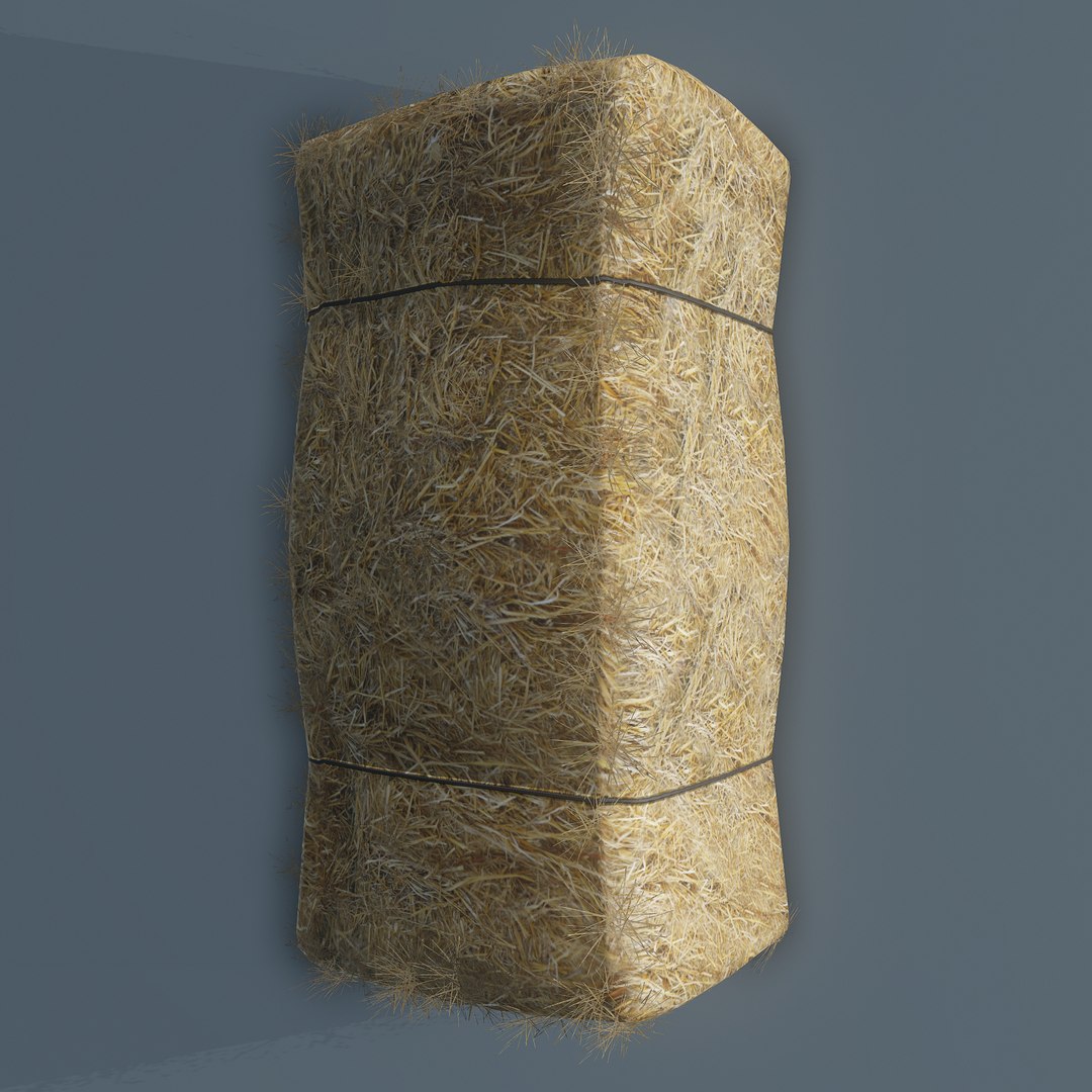 3D Model Hay Bale - TurboSquid 1408559