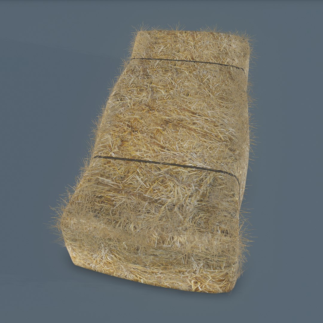 3D Model Hay Bale - TurboSquid 1408559