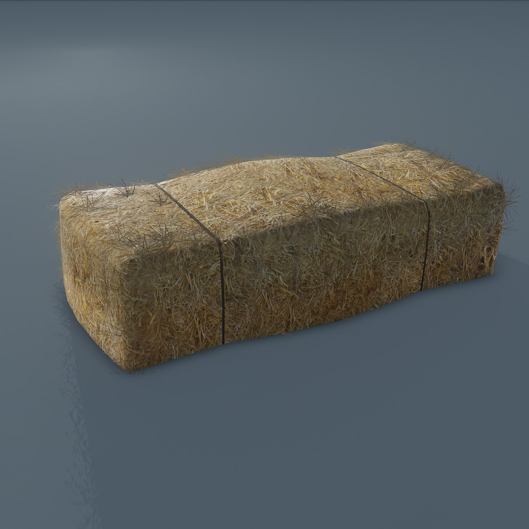 3D Model Hay Bale - TurboSquid 1408559