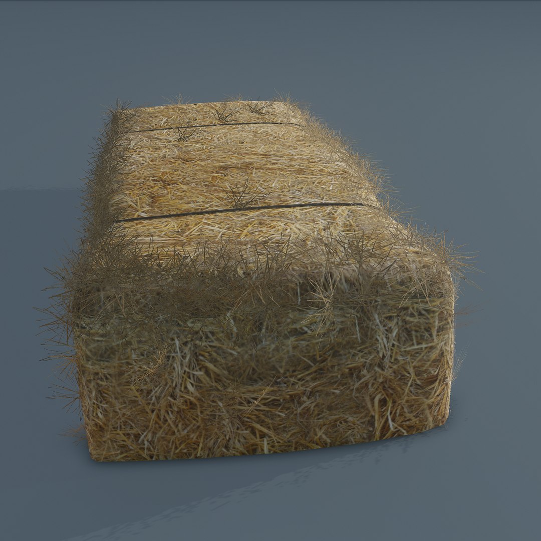 3D Model Hay Bale - TurboSquid 1408559