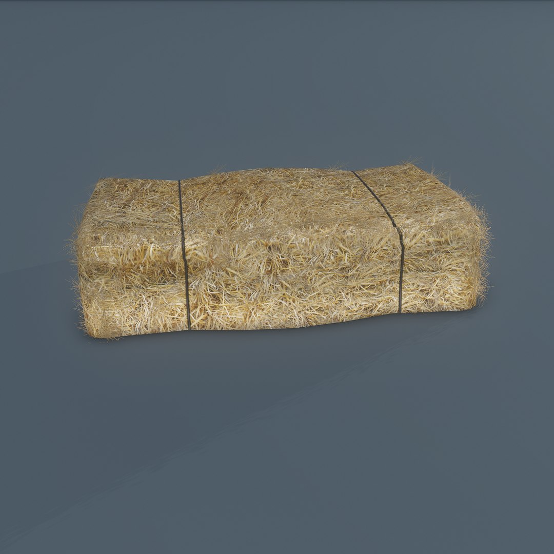 3D Model Hay Bale - TurboSquid 1408559
