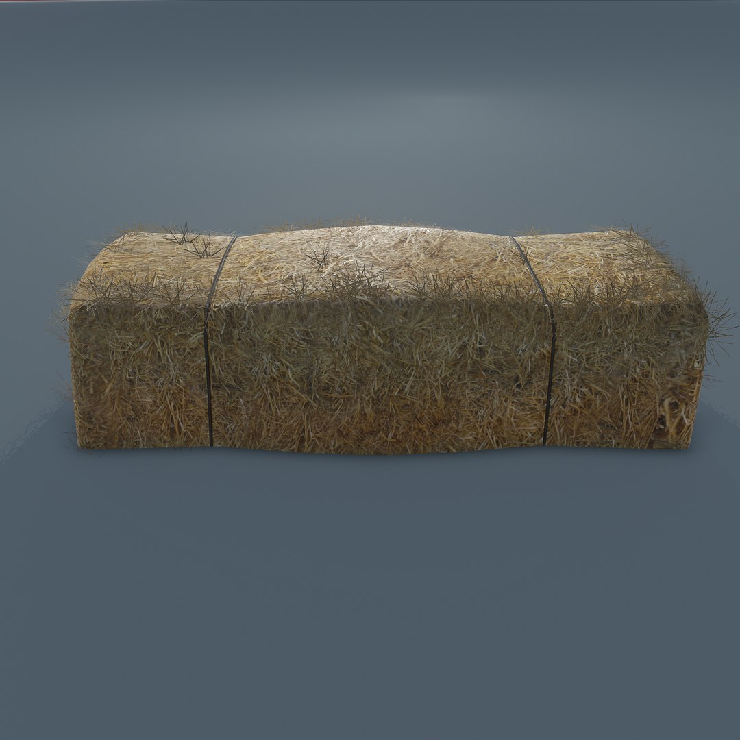3D Model Hay Bale - TurboSquid 1408559