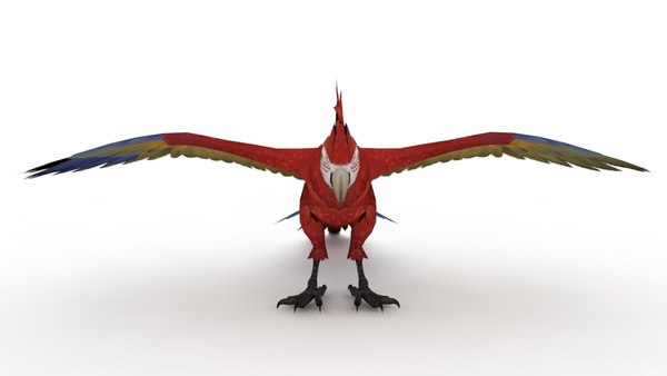 Mountain parrot 3D - TurboSquid 2038820