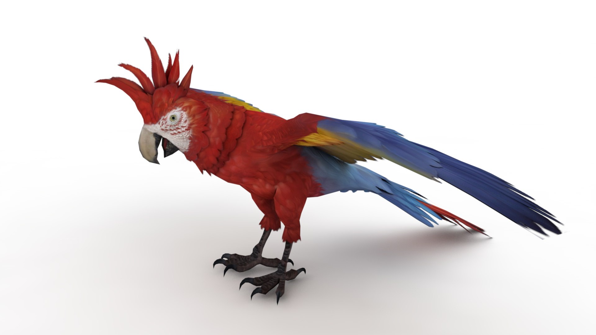 Mountain Parrot 3D - TurboSquid 2038820