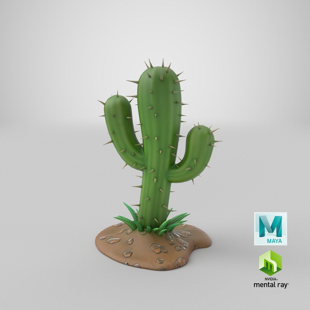 Cartoon Cactus Model - TurboSquid 1916031