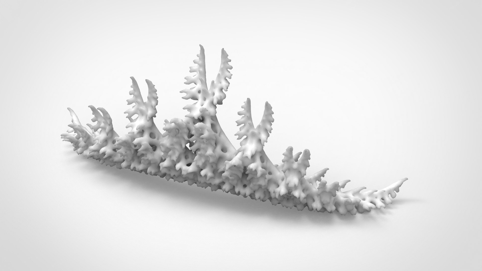 Coral Crown 3D Model - TurboSquid 1654164