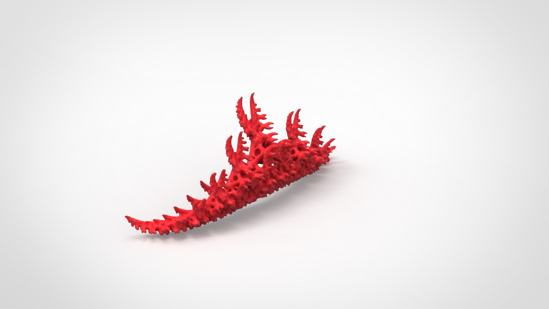 Coral Crown 3D Model - TurboSquid 1654164