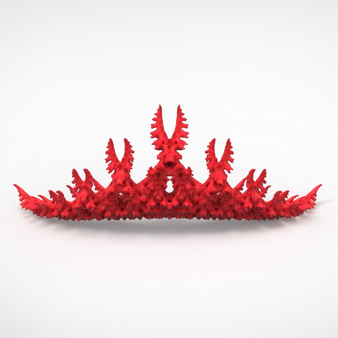 Coral Crown 3D Model - TurboSquid 1654164