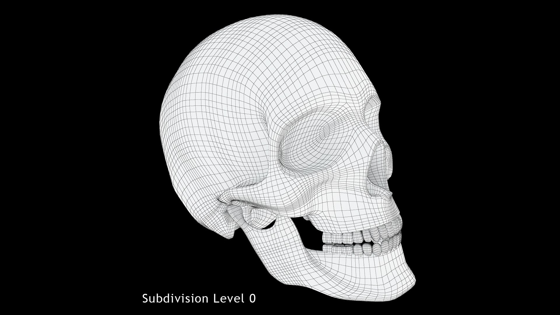 Human Skull Head 3d 3ds