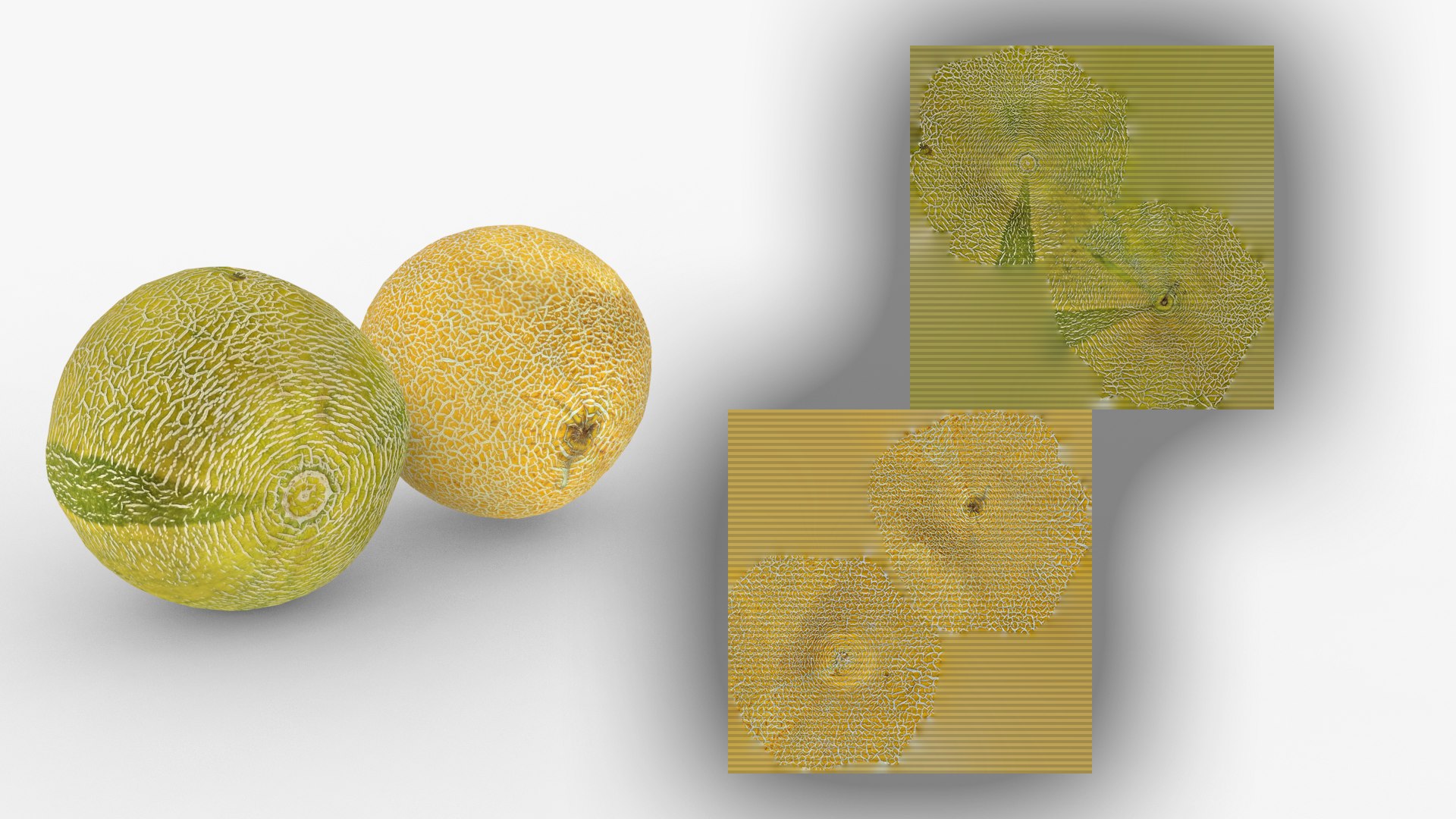 3D Melon Scan Set Model - TurboSquid 2125880