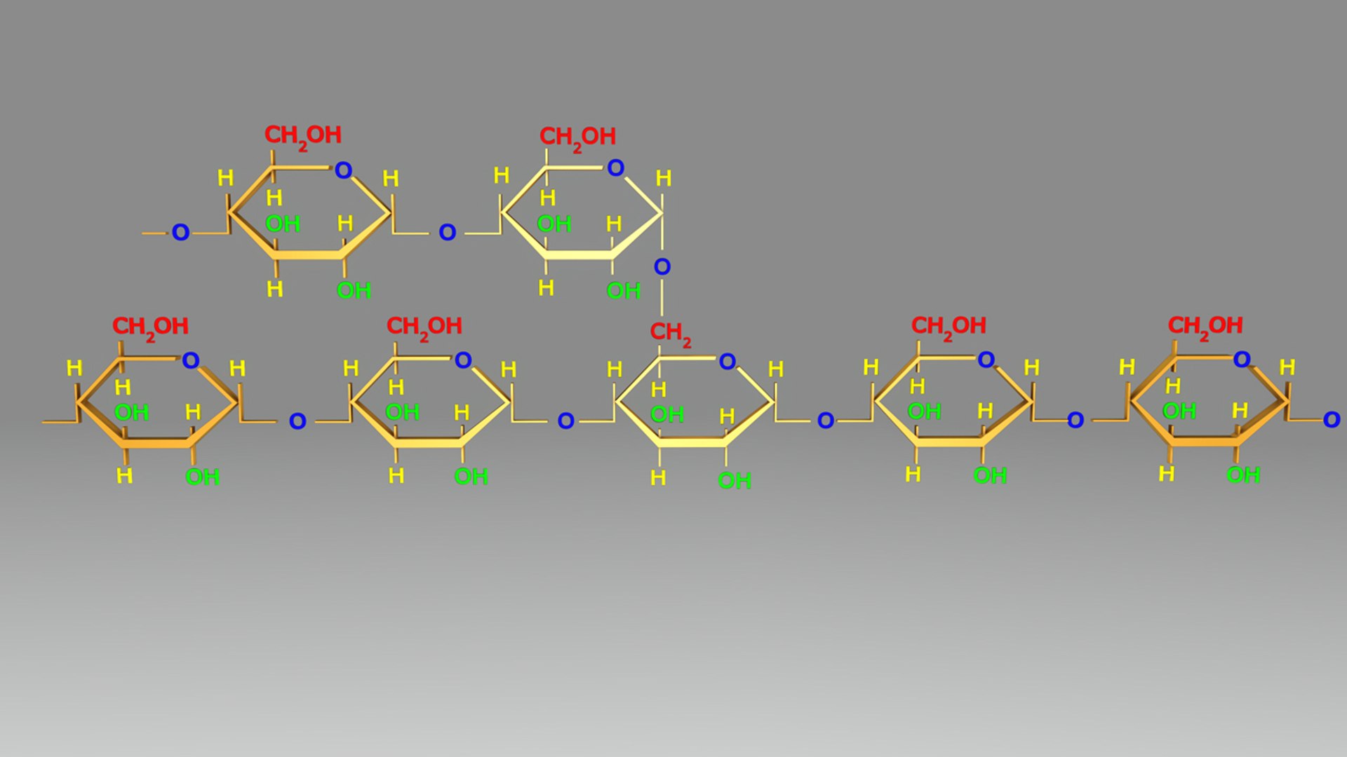 Obj Amylopectin Structure