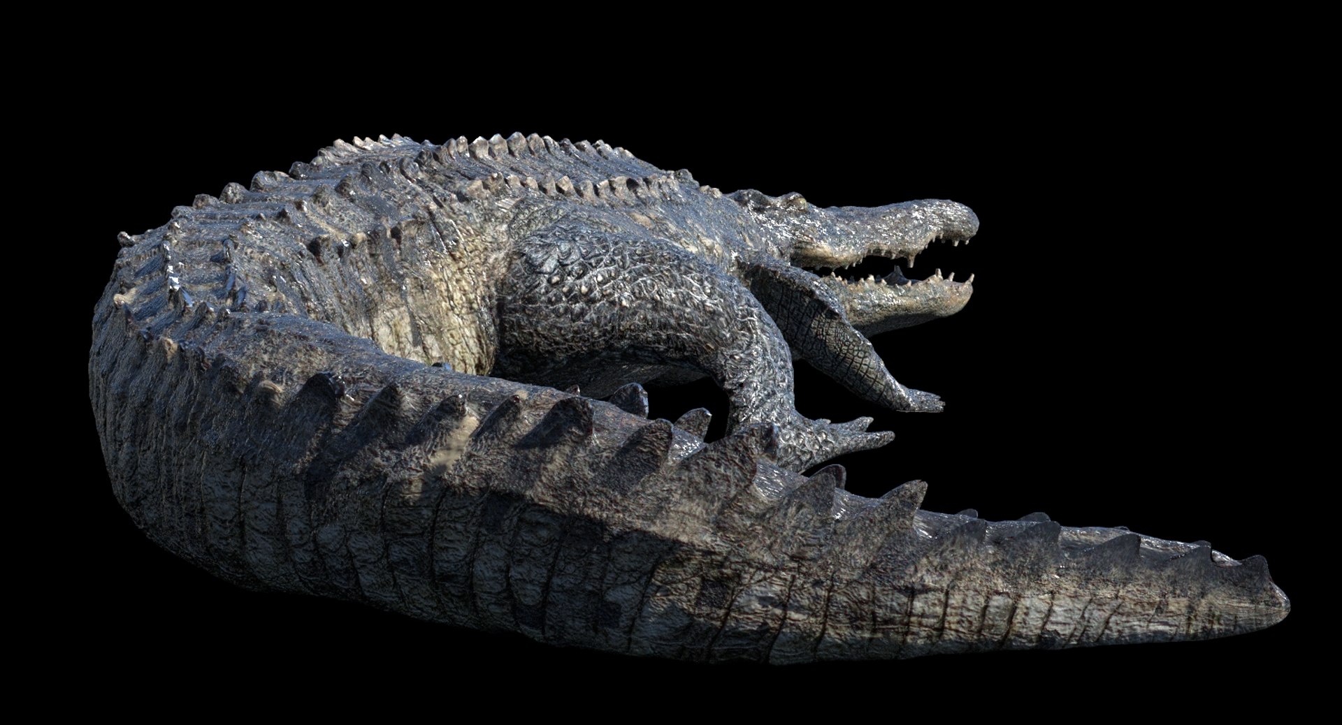 realistic crocodile rigged 3d model