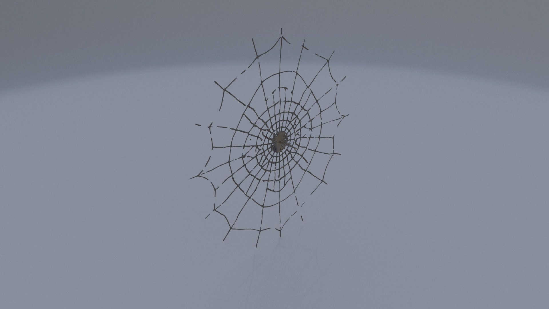 3D Spider Web Model - TurboSquid 2325690