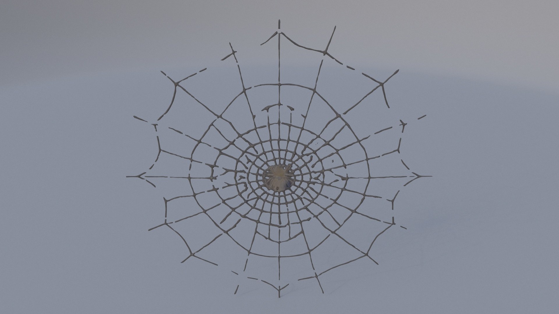 3D Spider Web Model - TurboSquid 2325690