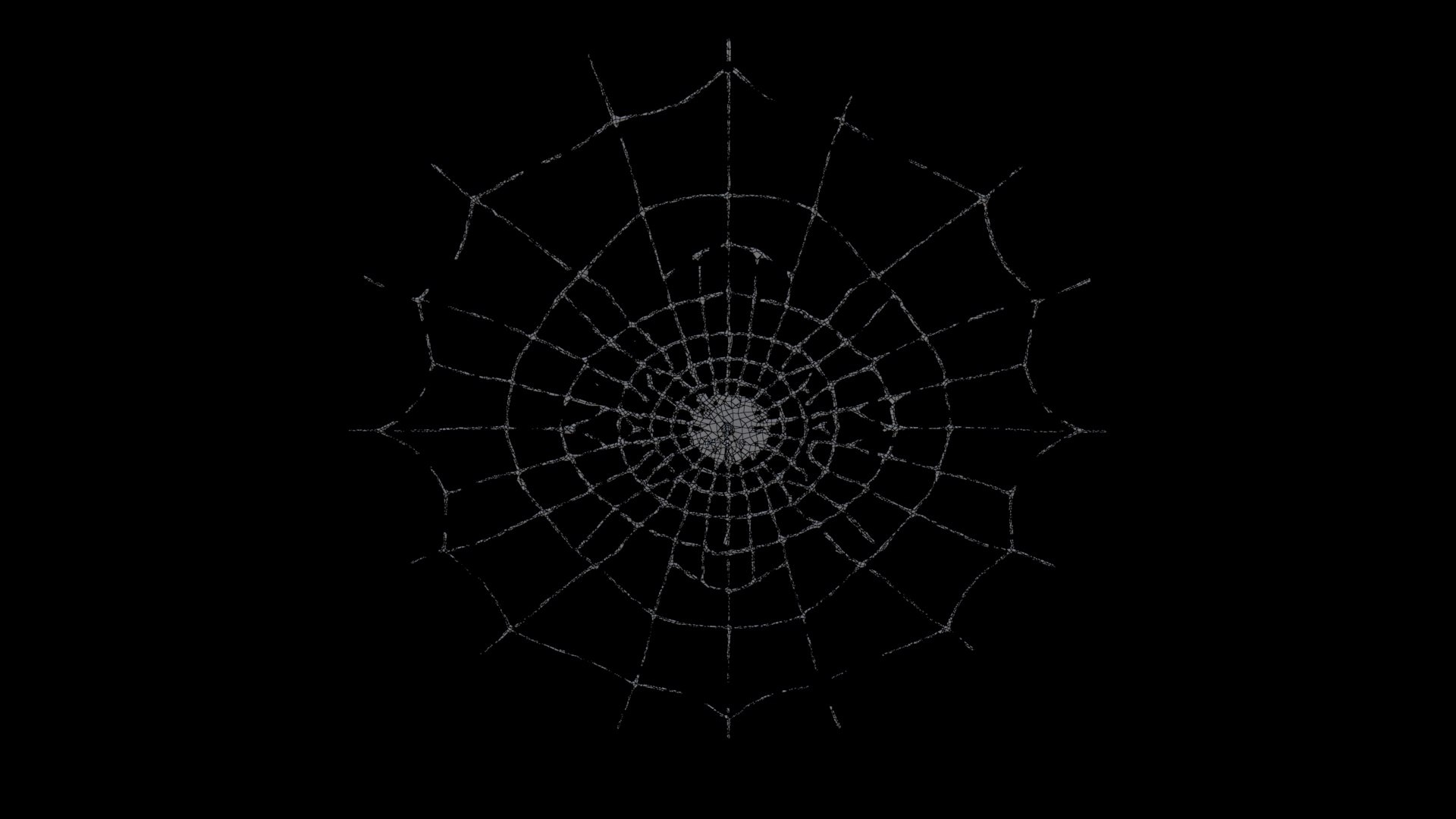 3D Spider Web Model - TurboSquid 2325690