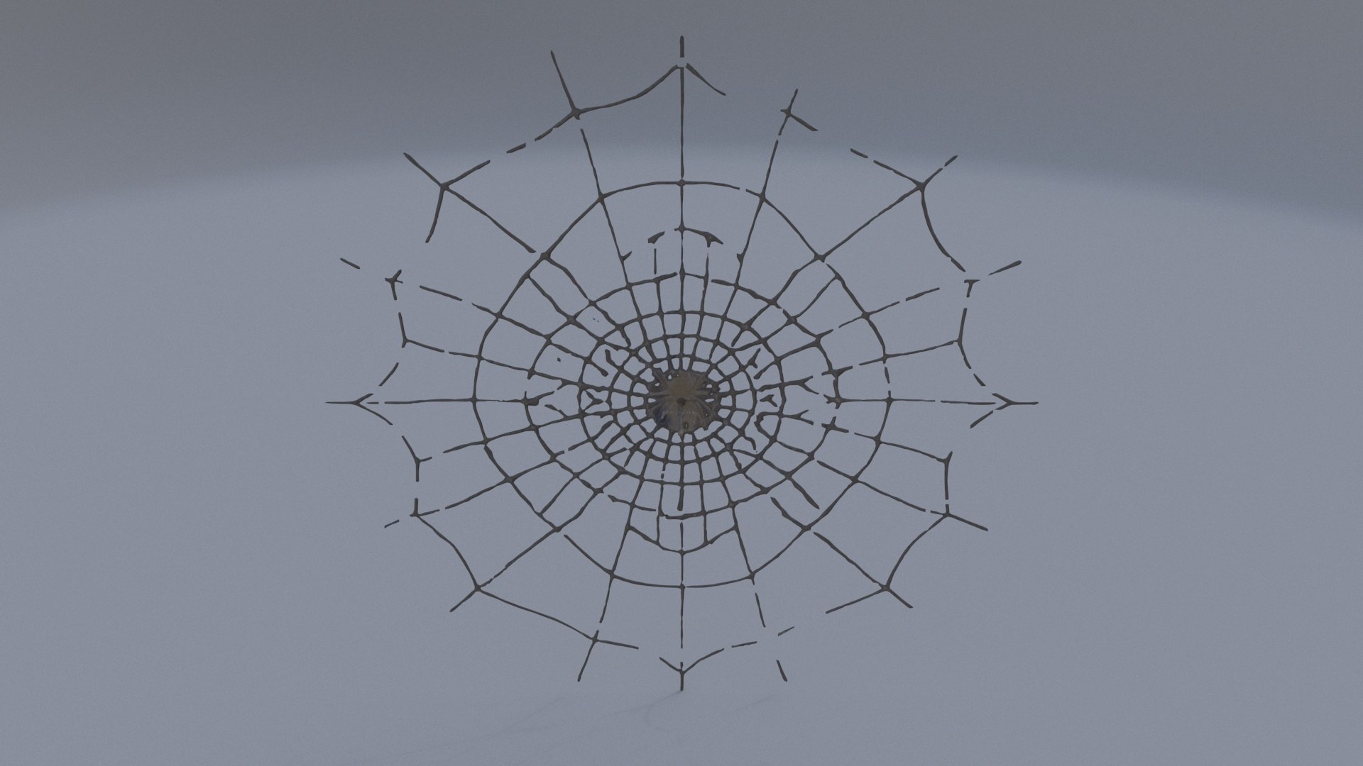 3D Spider Web Model - TurboSquid 2325690