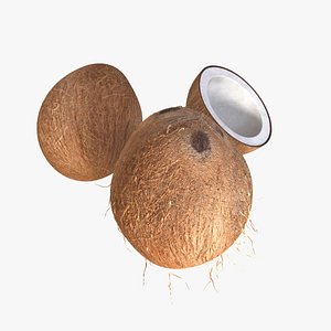 Coconut STL Models for Download | TurboSquid