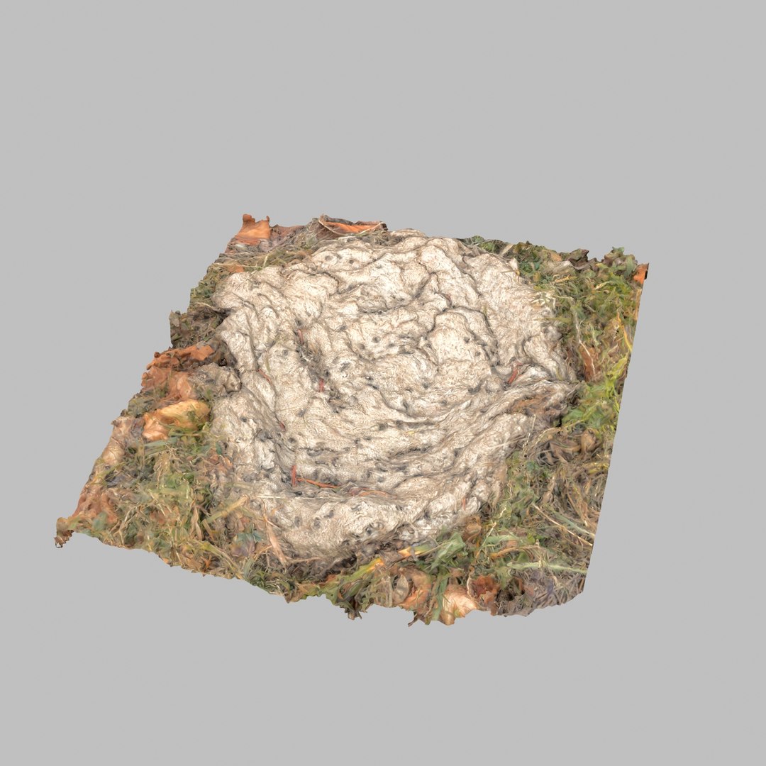 3D Poop Poo Cow - TurboSquid 1371766