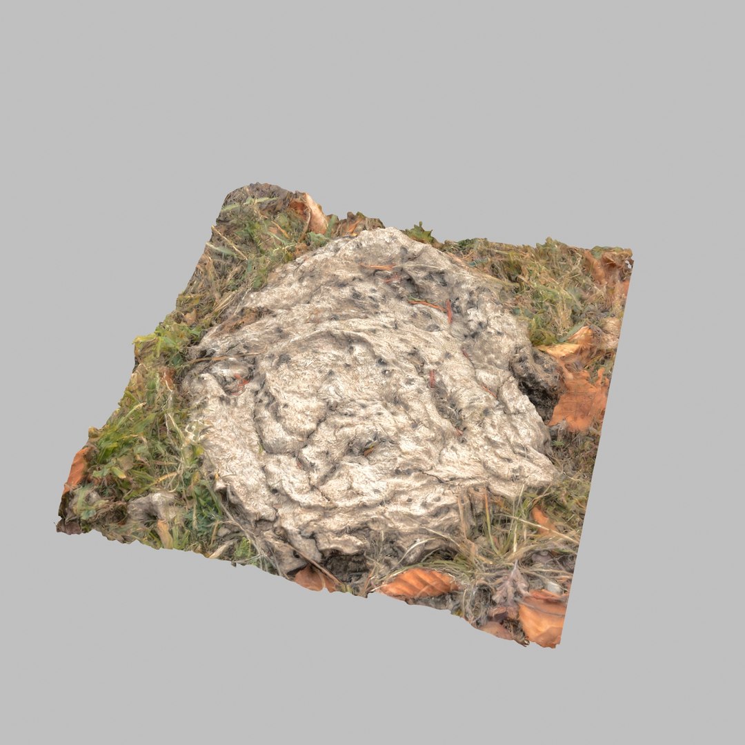 3D Poop Poo Cow - TurboSquid 1371766