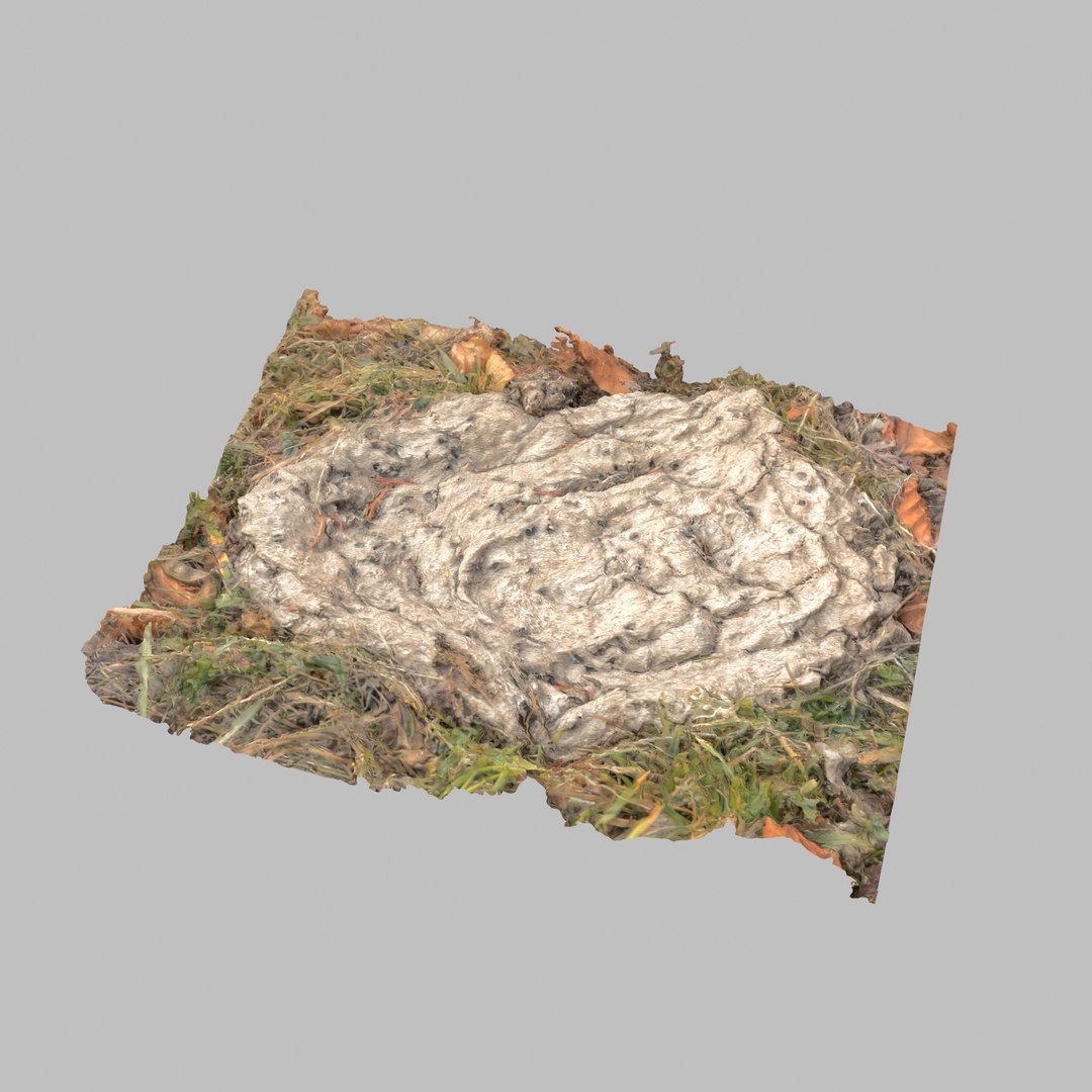 3D Poop Poo Cow - TurboSquid 1371766