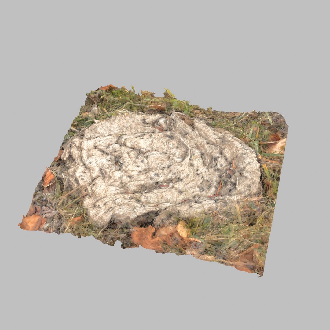 3D Poop Poo Cow - TurboSquid 1371766