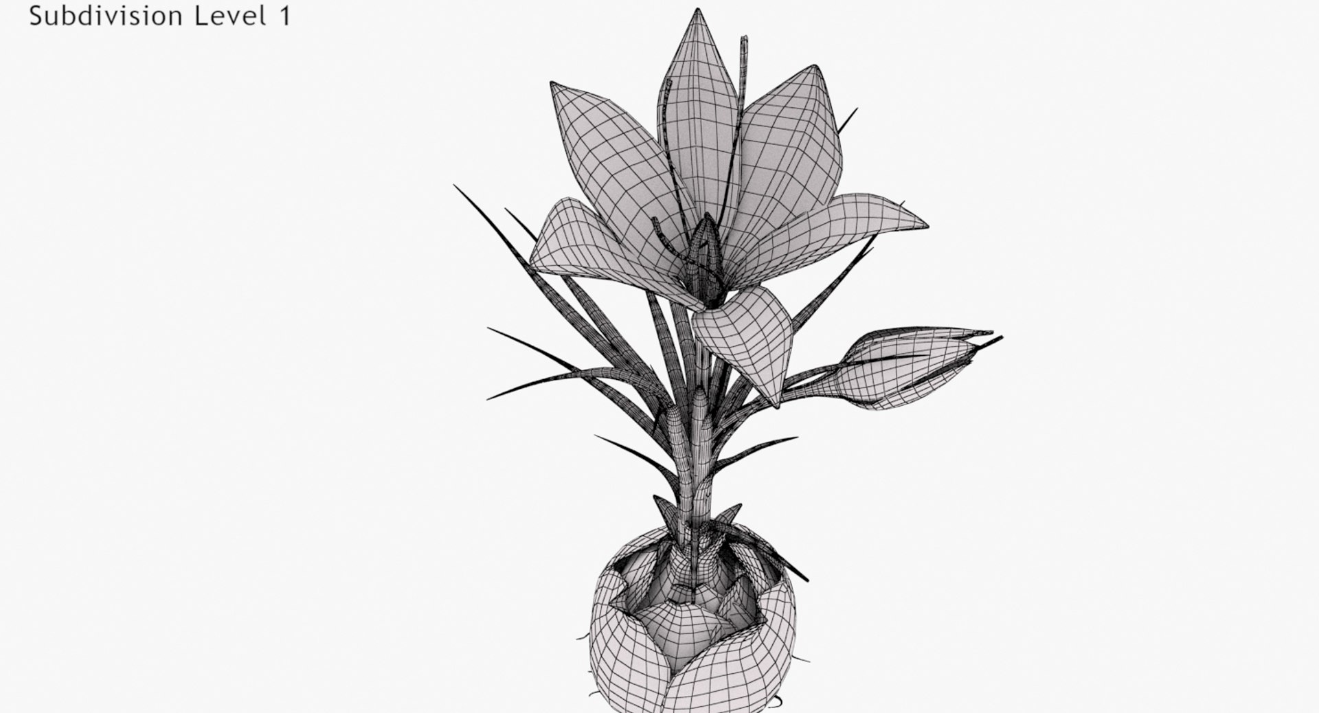 Plant Details Parts 3D Model - TurboSquid 1420461