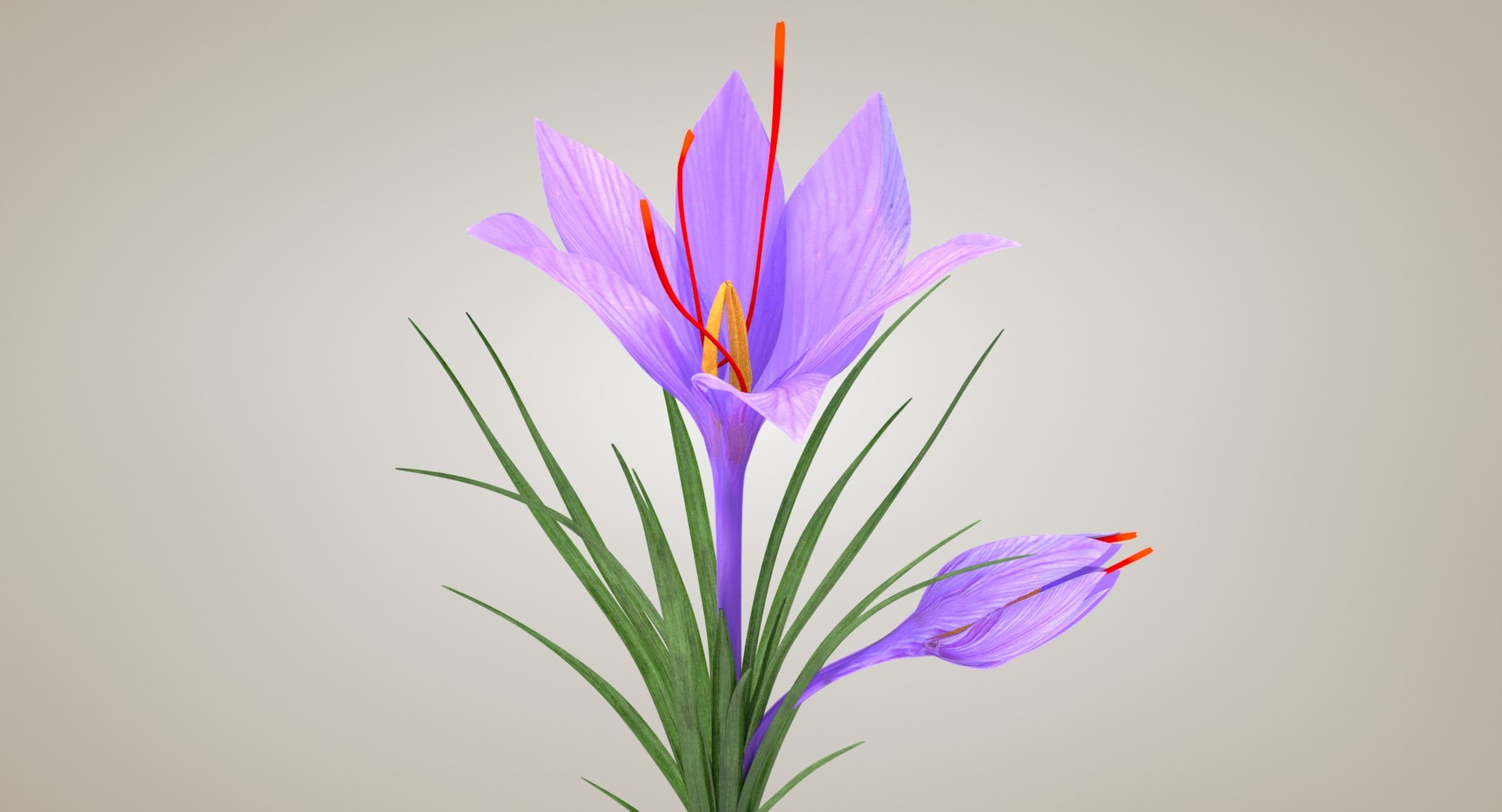 Plant Details Parts 3D Model - TurboSquid 1420461