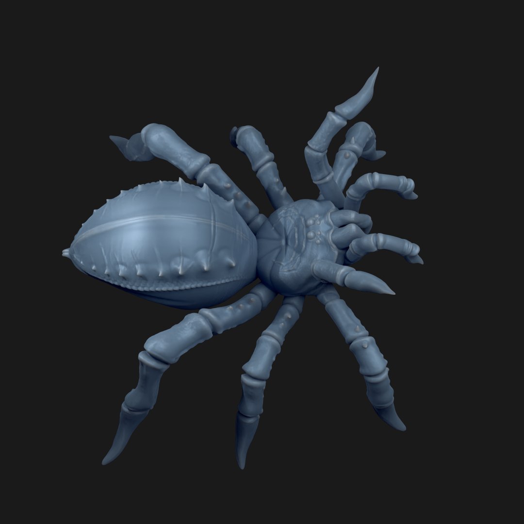 3D Tarantula Spider Model - TurboSquid 1919633