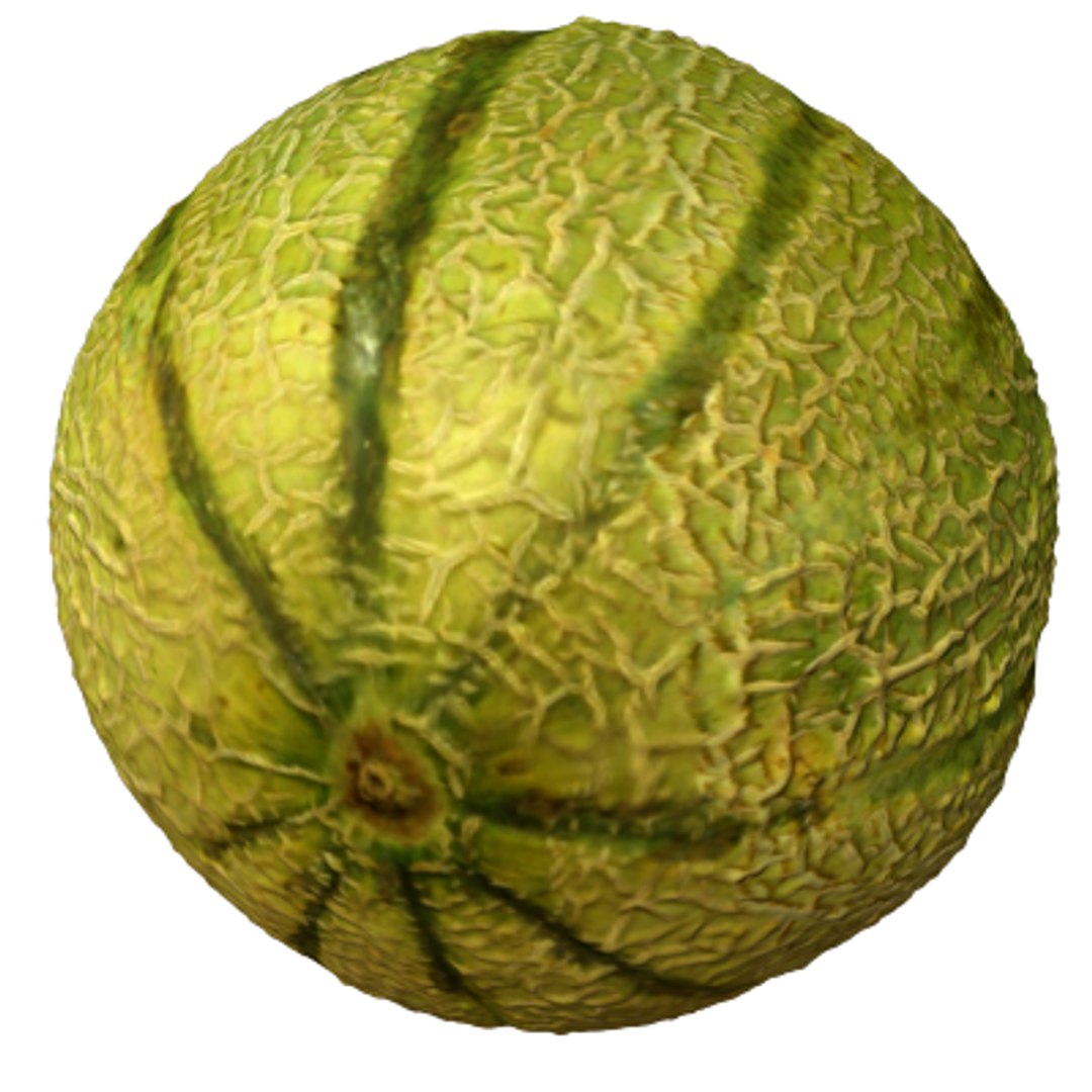 Lightwave Melon Fruit