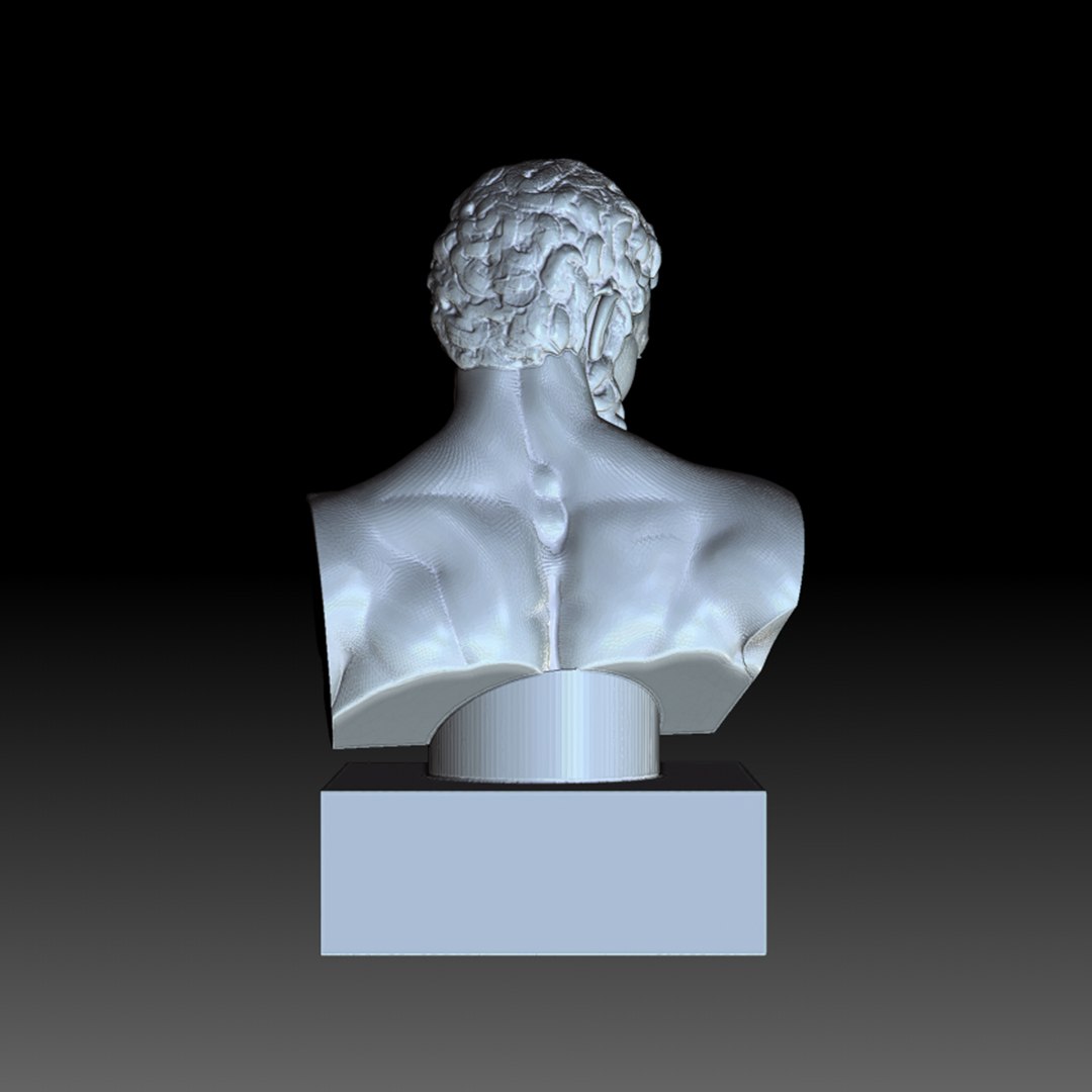 3D Model Hercule Bust - TurboSquid 1979481